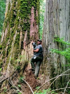 MFC - About Us Page - Montana Forest Consultants